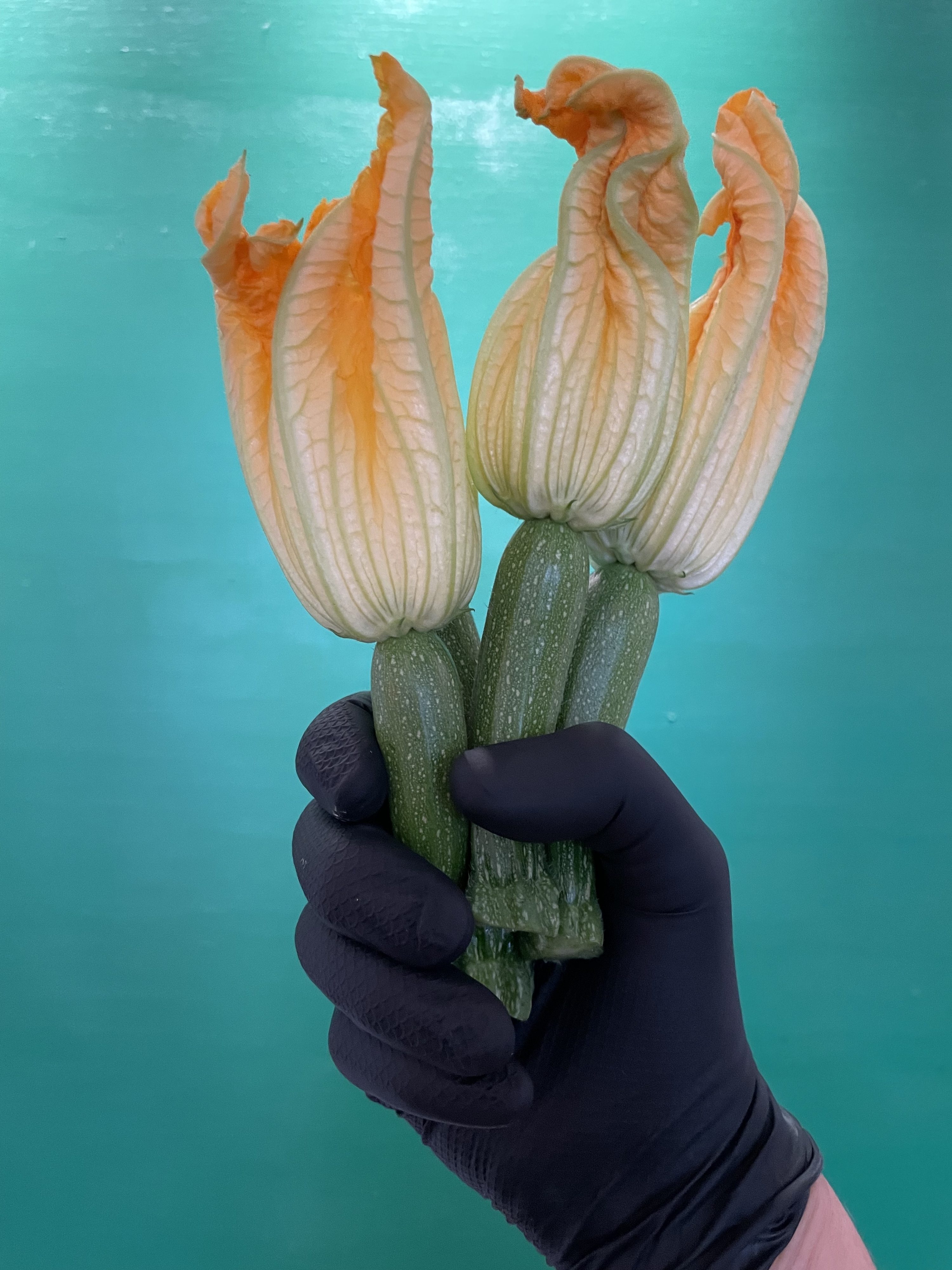 Prinz Myshkin – Das original vegan vegetarische Restaurant und Café in ...